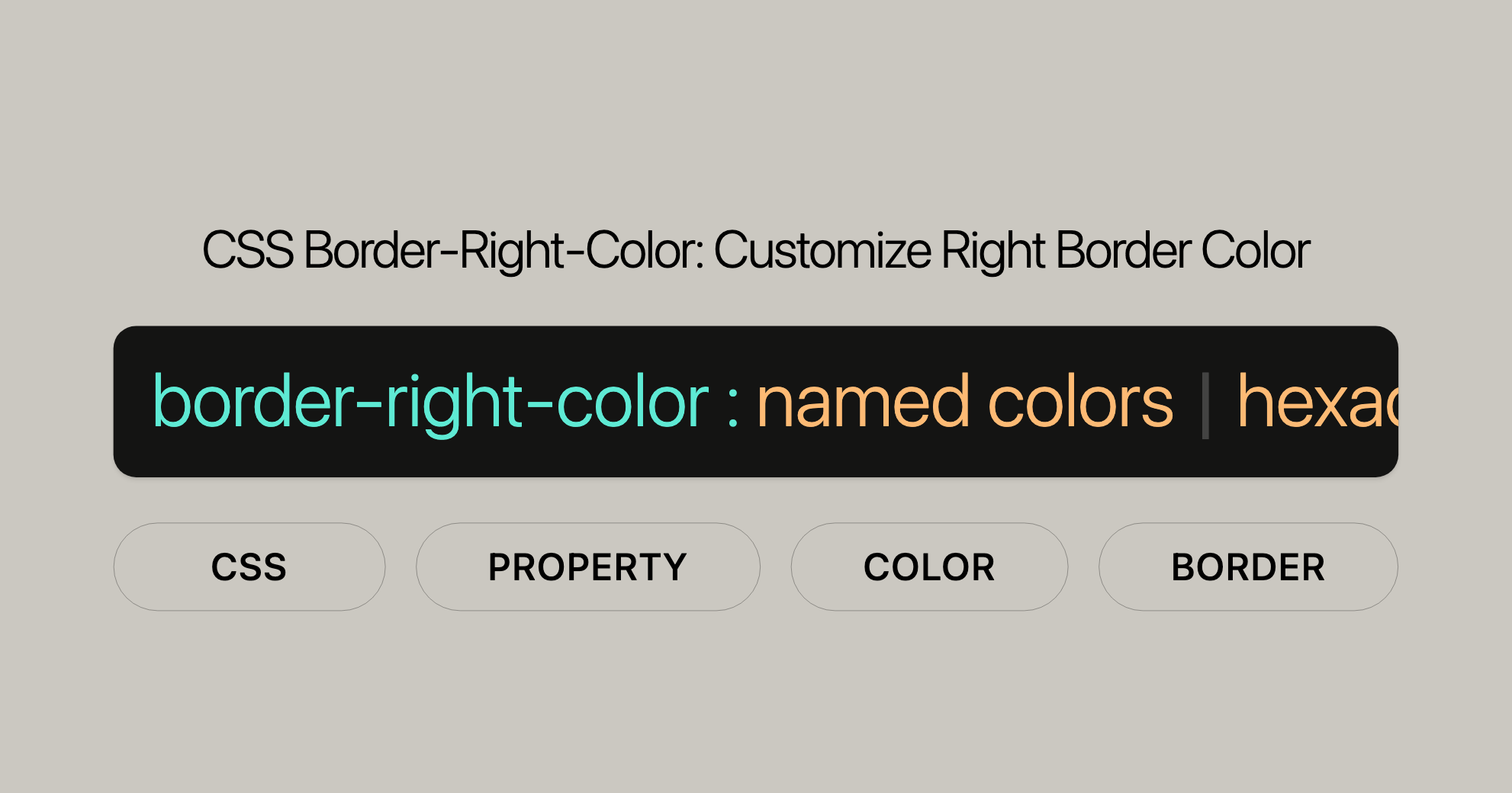 CSS Border-Right-Color Customize Right Border Color