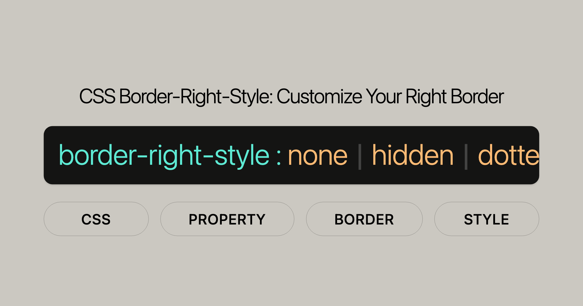 CSS Border-Right-Style Customize Your Right Border