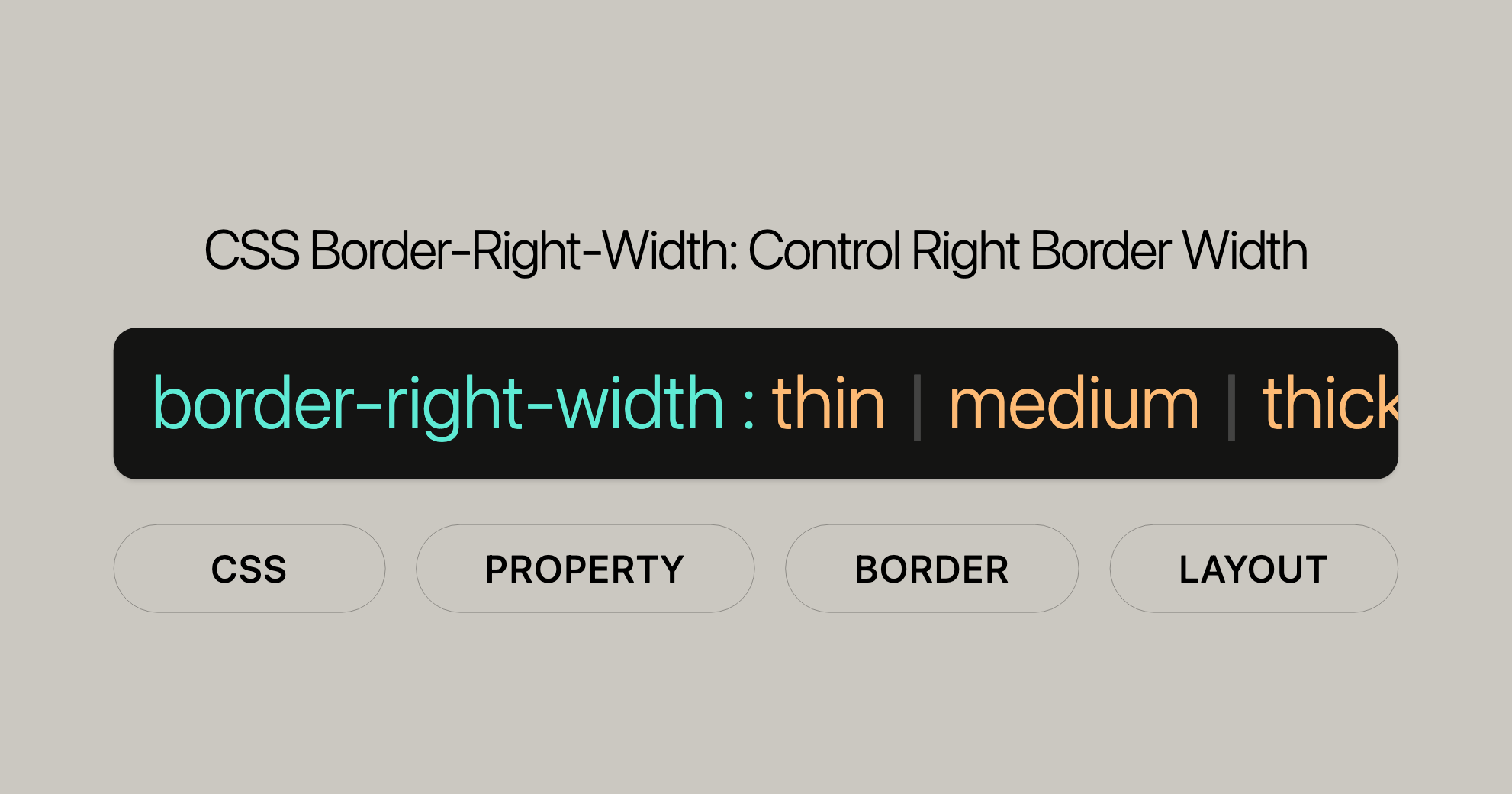 CSS Border-Right-Width Control Right Border Width