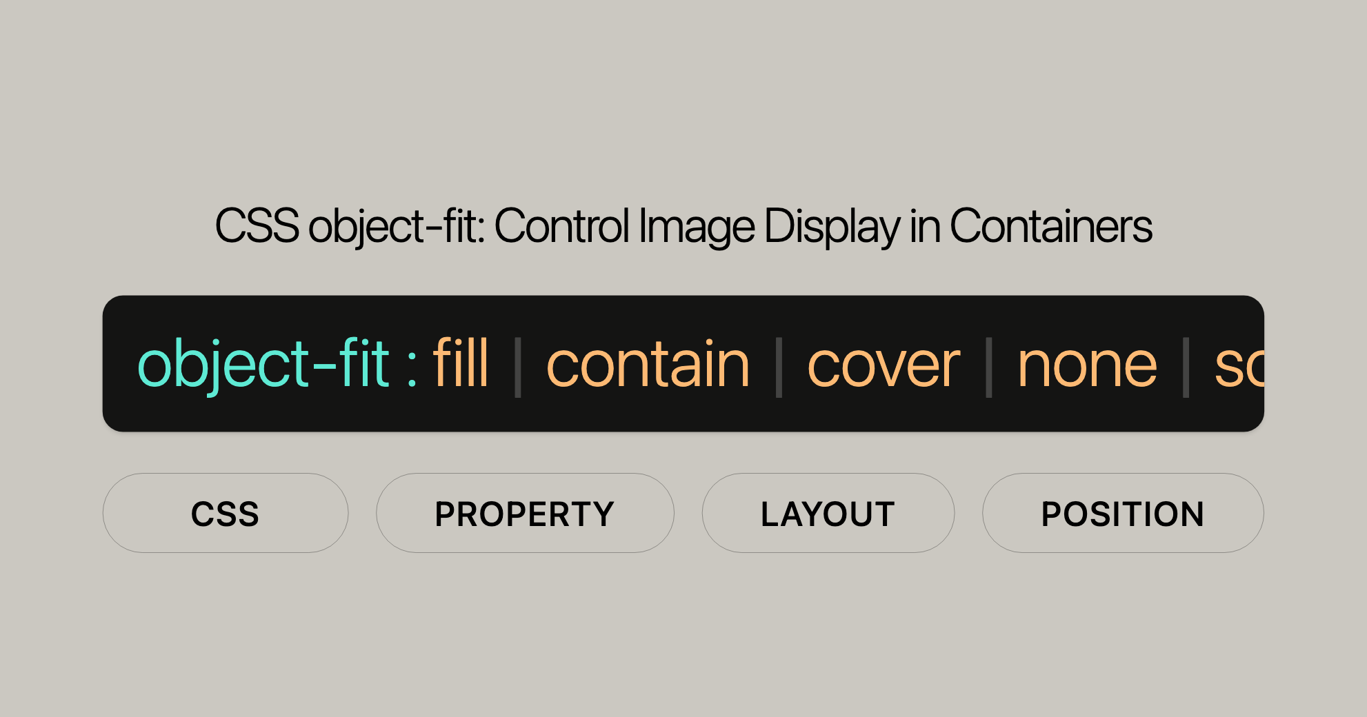 Css Object Fit Control Image Display In Containers